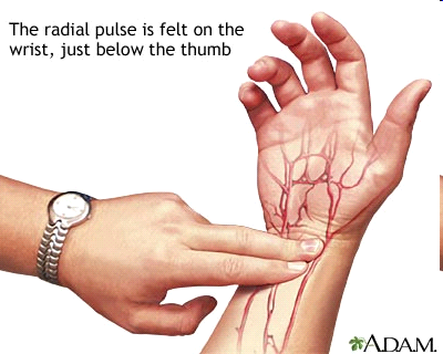 Semeiotica e polso arterioso: qualità e valutazione | Nurse Times